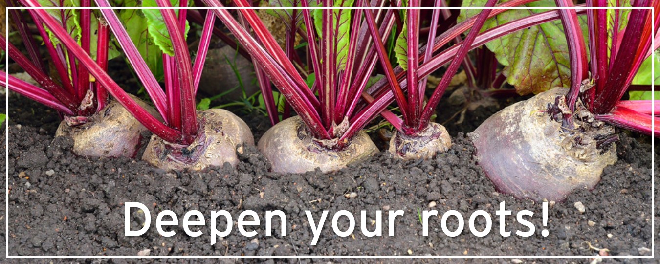 Website Carousel - Deepen your Roots | Shoresh