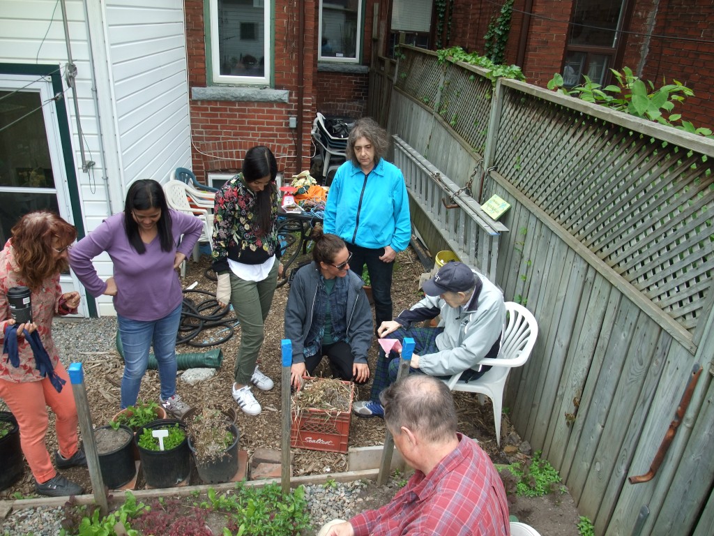 Radical Giving: Lessons from David Pinkus, Z"L | Shoresh