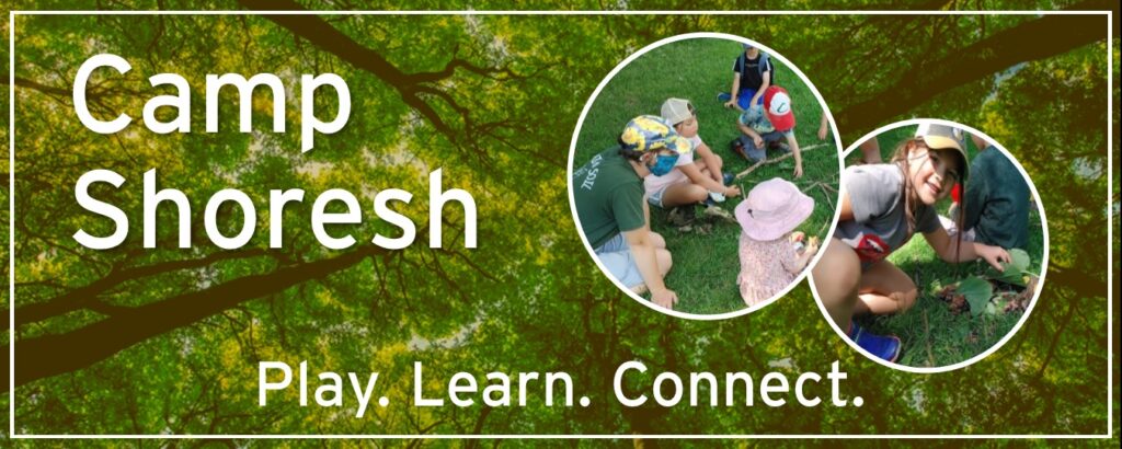 2022 Carousel - Camp Shoresh | Shoresh