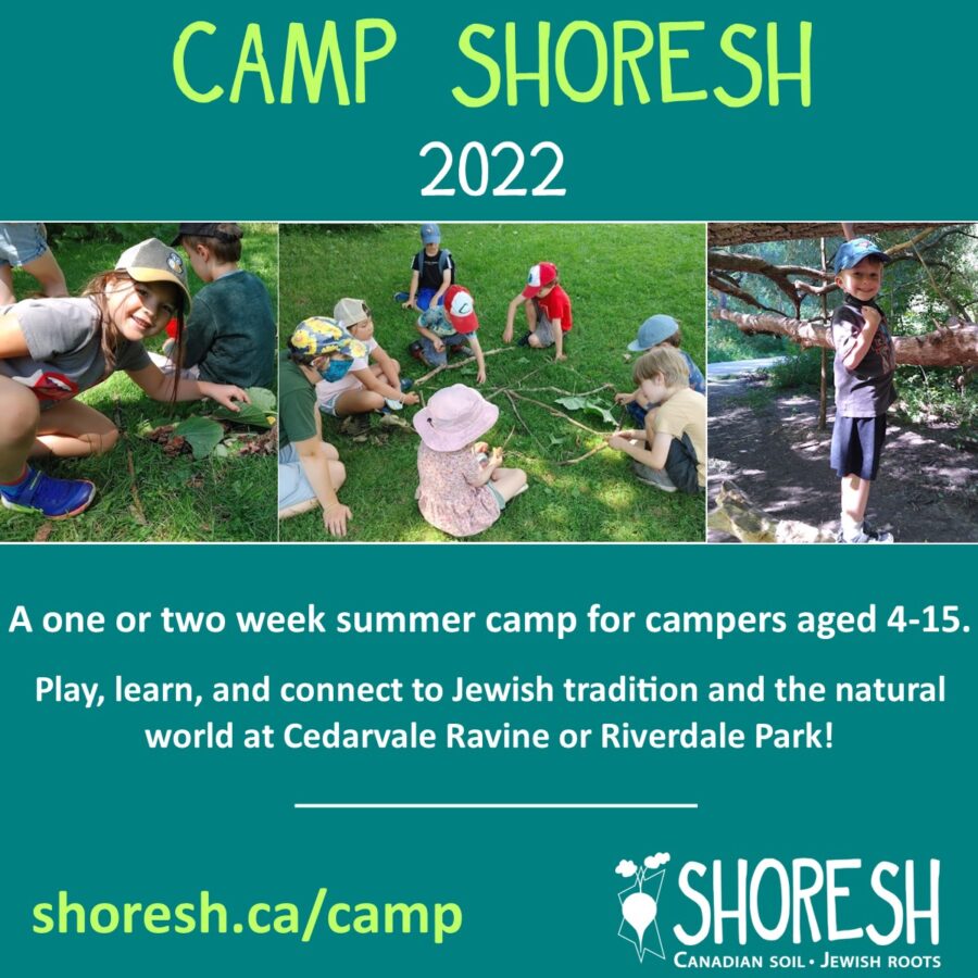 Camp Shoresh | Shoresh
