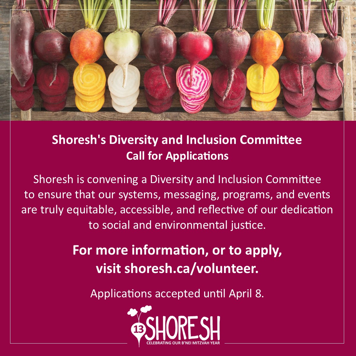 Volunteer | Shoresh